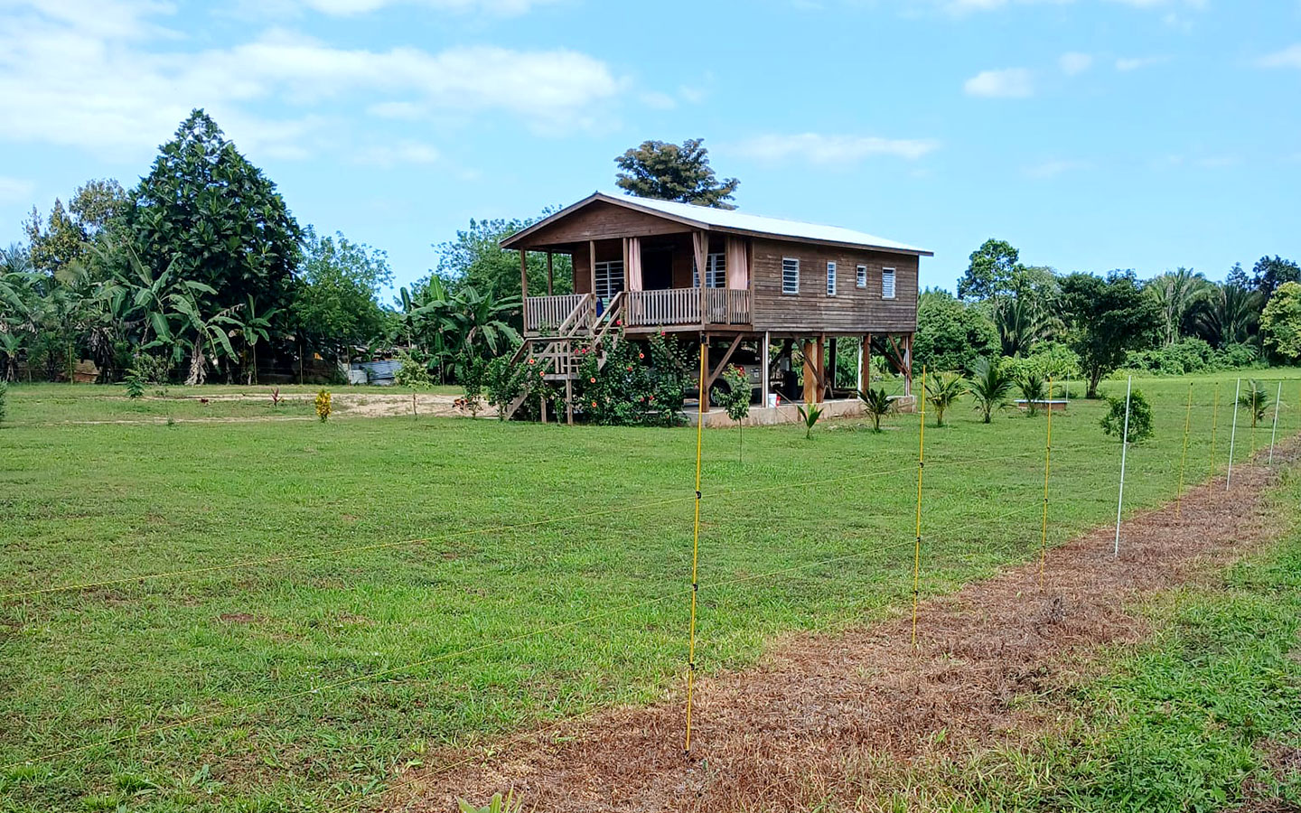 Beautiful Home Nestled on 6 acres of land off the Hummingbird Highway ...